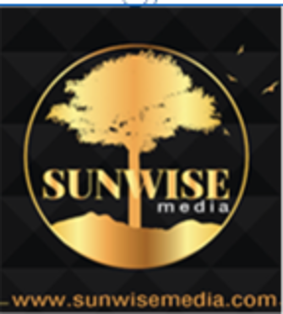 Sunwise Media Documentary Wins Gold at Spotlight Awards ⋆ Pathways Drug ...