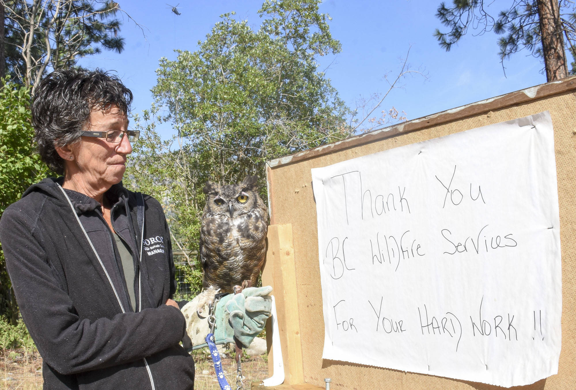 August: Forestry firefighters save raptor rehab centre ⋆ Pathways Drug ...